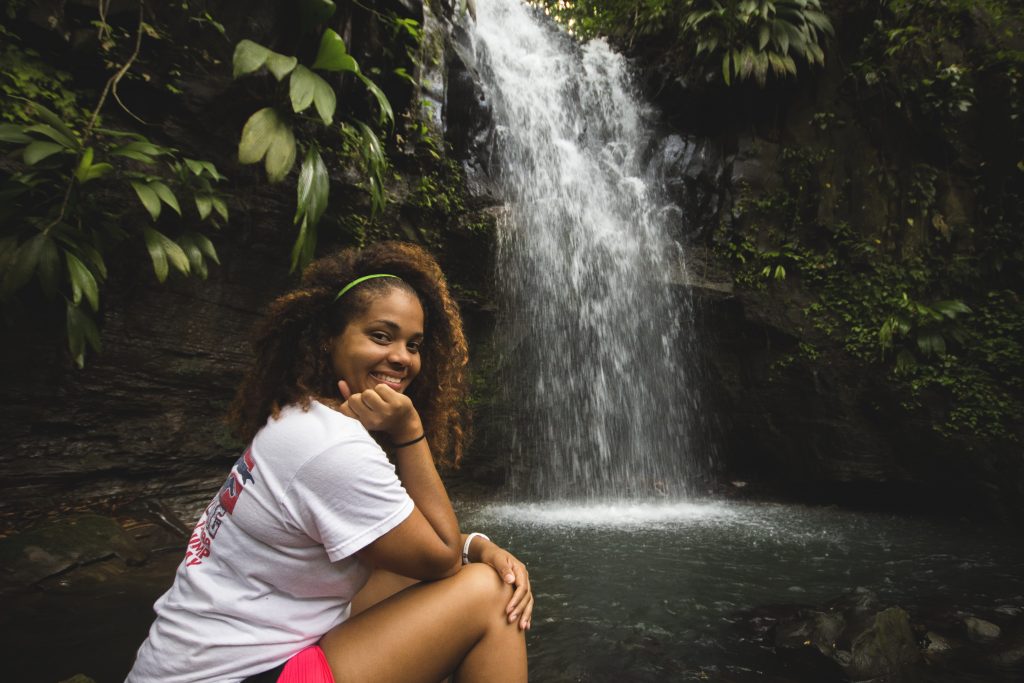 Wasps and Waterfalls • Adventures of an Island Girl