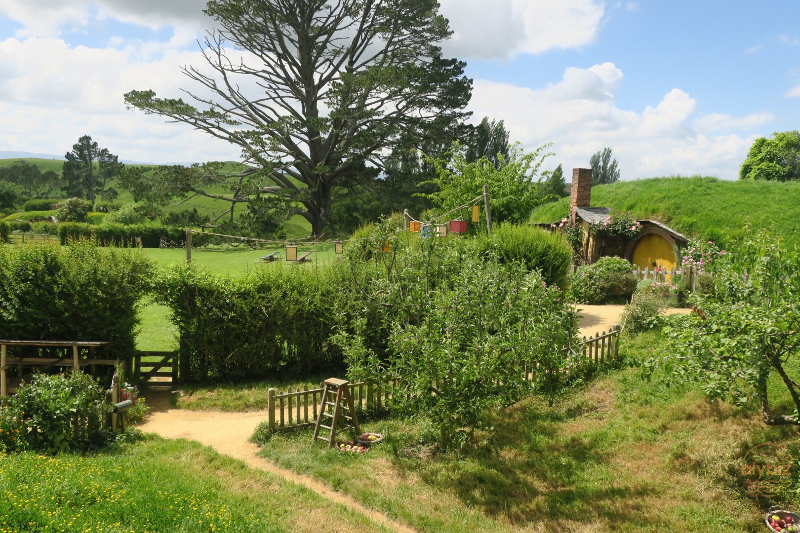 A Journey to Middle Earth • Adventures of an Island Girl