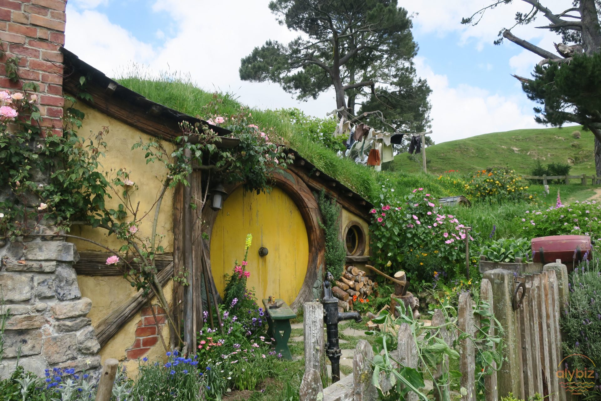 A Journey to Middle Earth • Adventures of an Island Girl